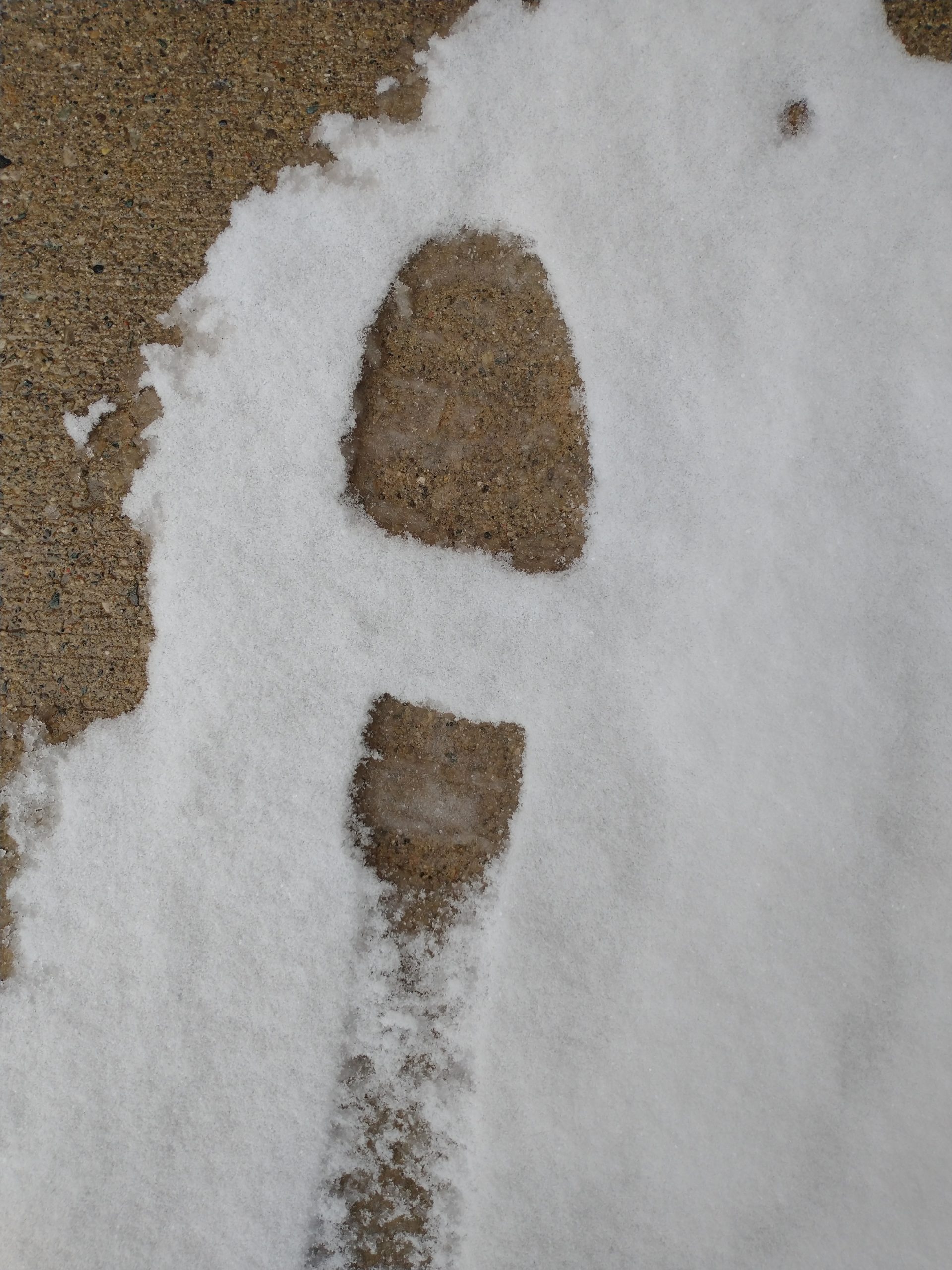 Footprints in the Snow - Ypsilanti District Library