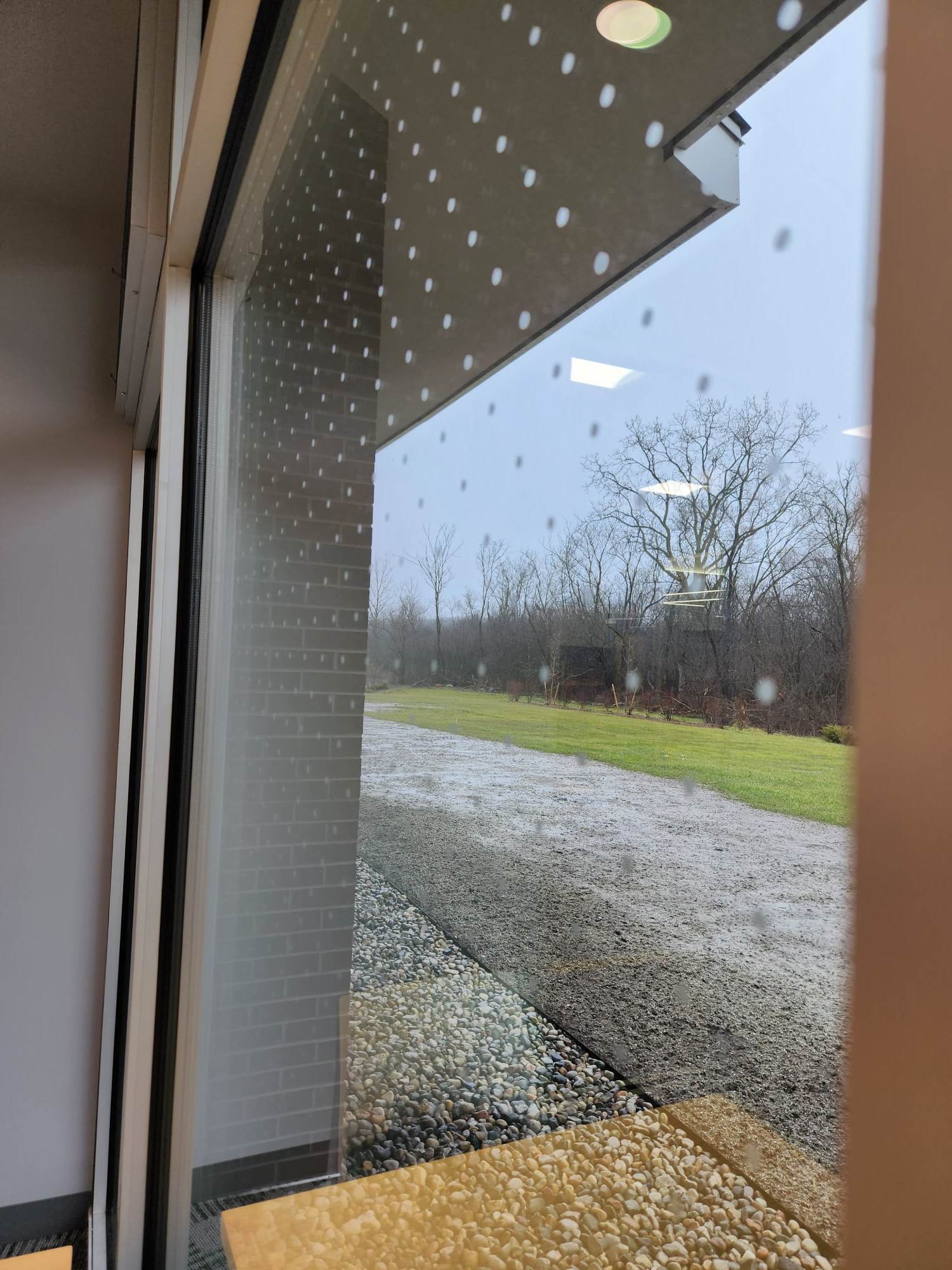 Bird-friendly Glass - Ypsilanti District Library